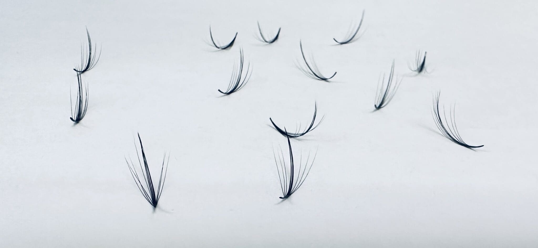 Alluring Wispy 7D Premade Loose Spike Lash Fans 0.03mm C & D Curl - 500 ...